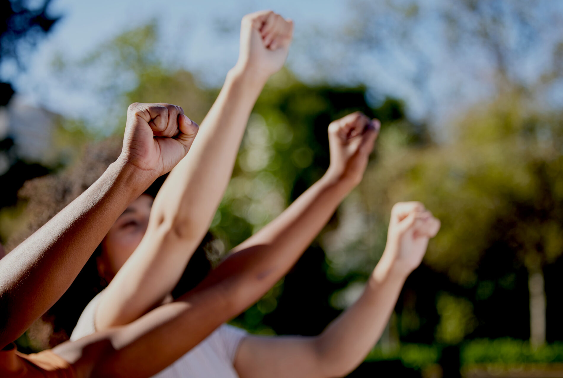 Free Speech, Banned Books and More: Join ASJA’s Democracy Advocates ...